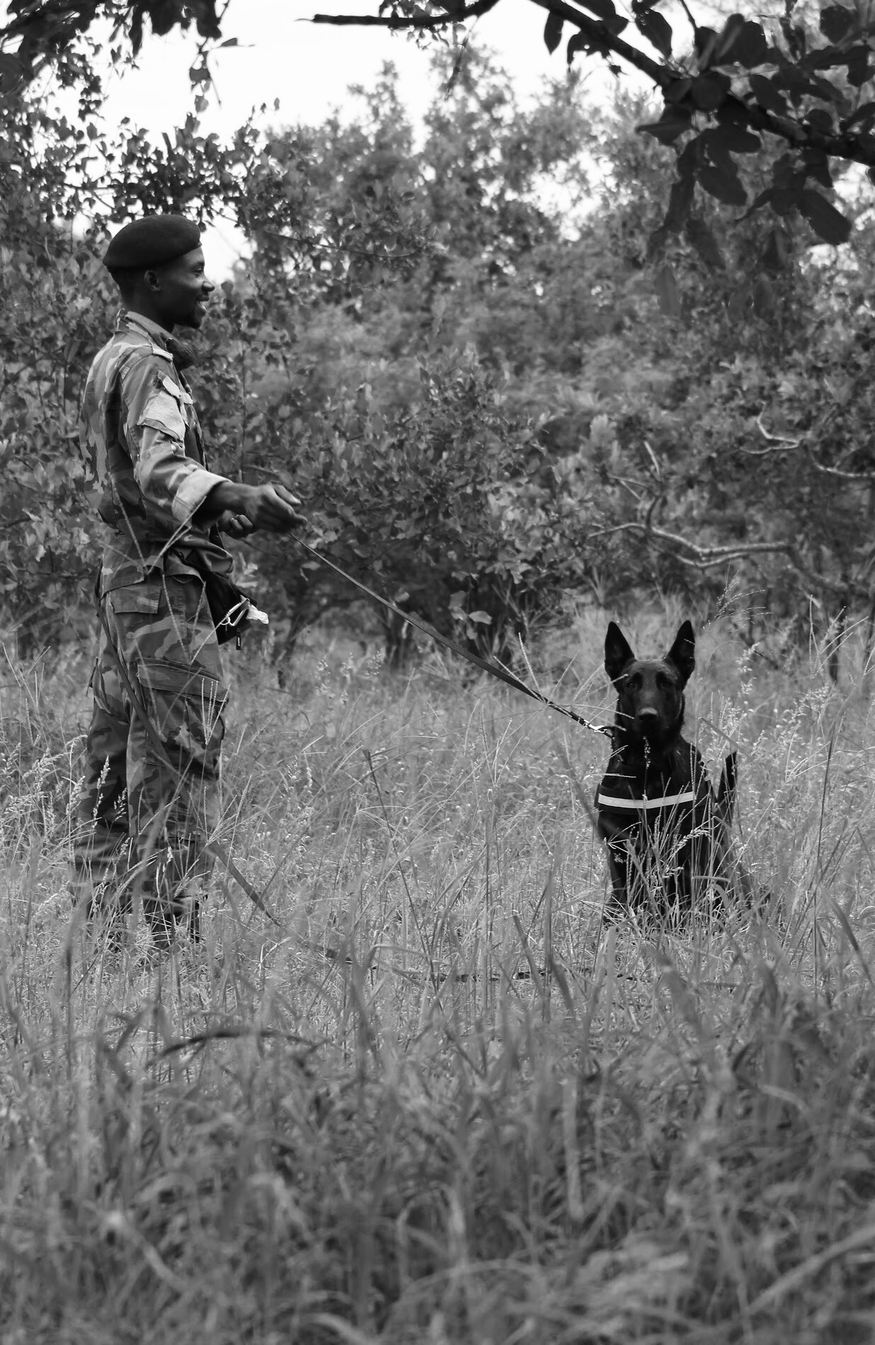 War Dog Tactical – Dog & Handler Equipment South Africa