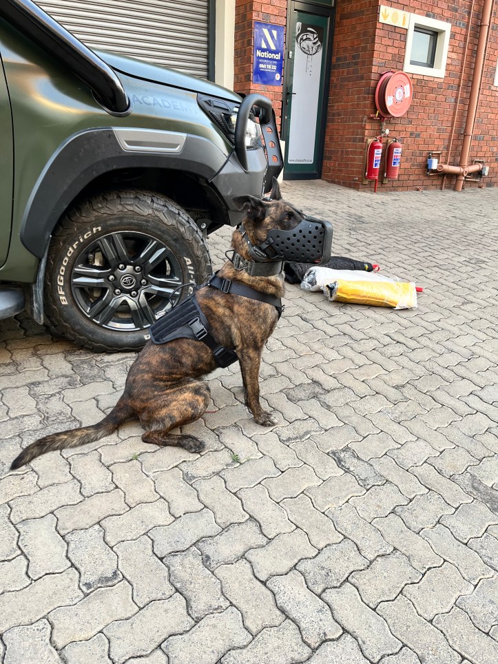 War Dog Tactical – Dog & Handler Equipment South Africa
